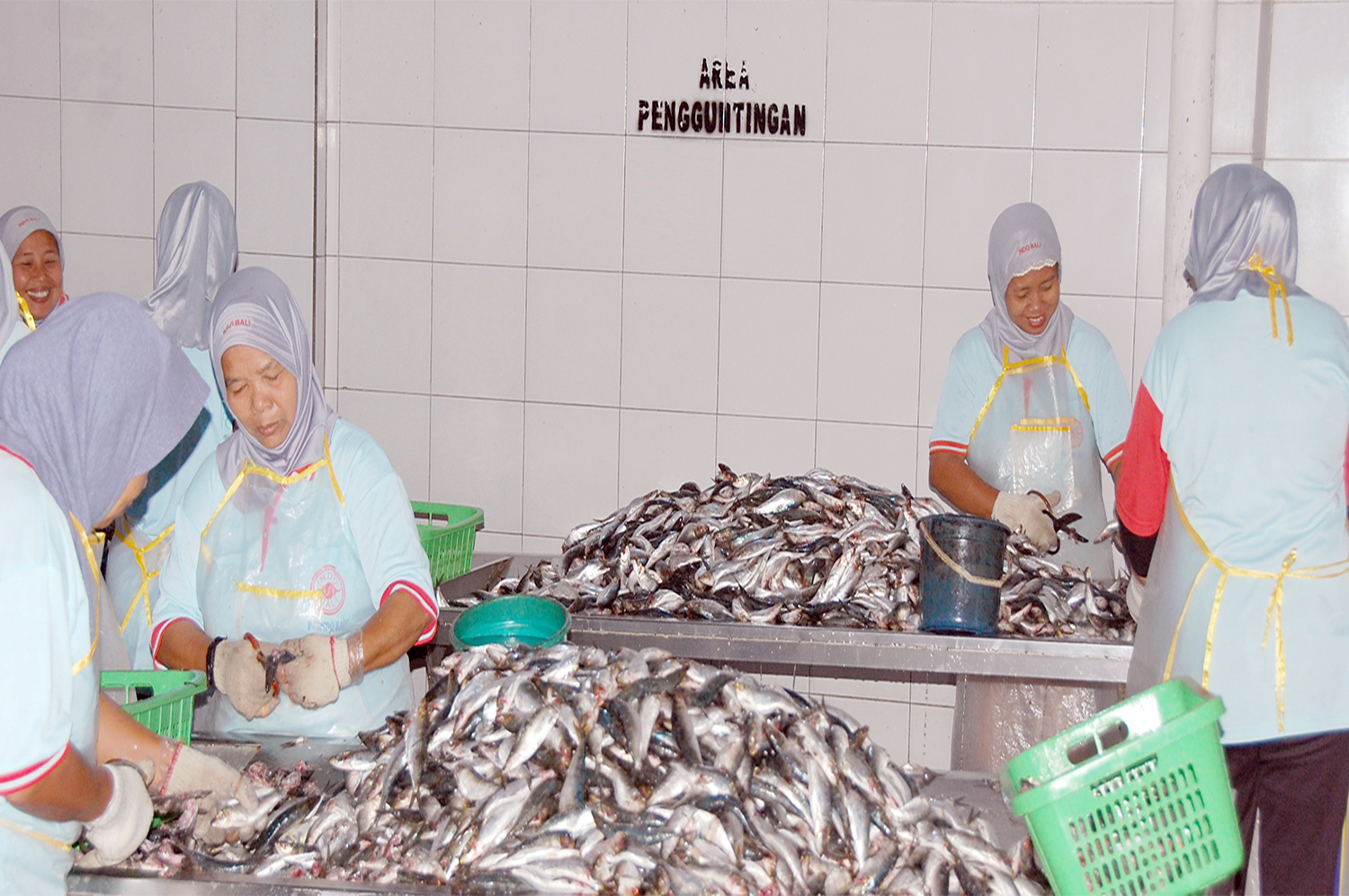 PT. INDO BALI - FISH CANNING INDUSTRY - CANNERY - SARDINES - FACTORY
